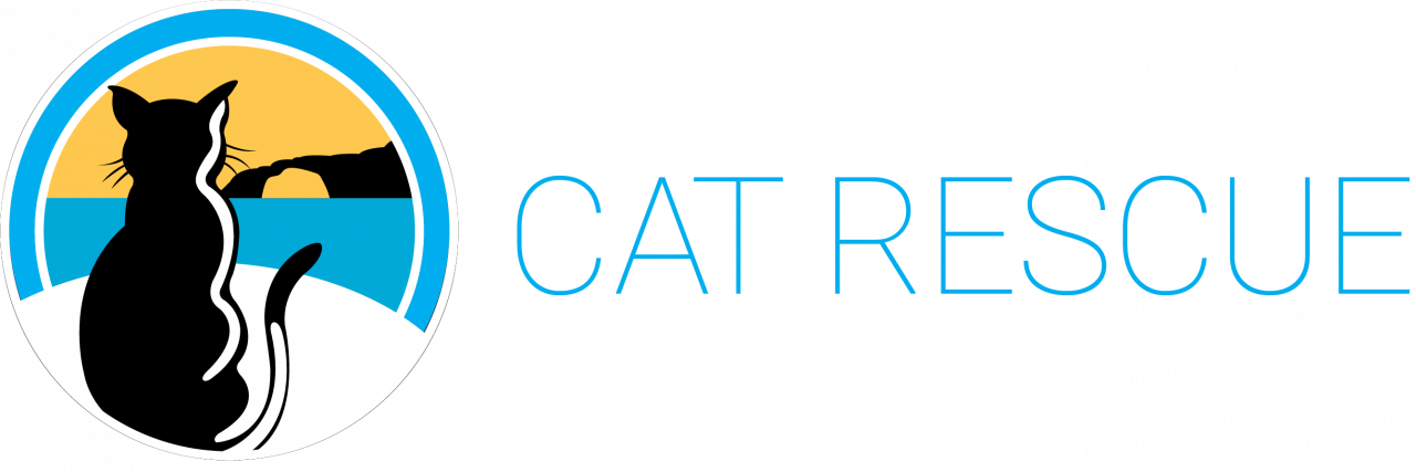 Home - Surfcat Cat Rescue • Adoptions • Sanctuary